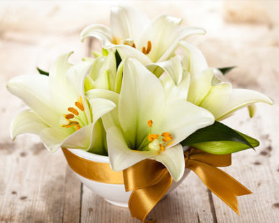 1-Year Passing Anniversary Memorial Ideas - Celebrating a Life